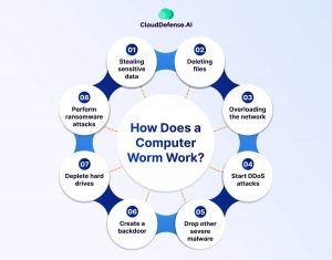 What Is a Computer Worm Virus?