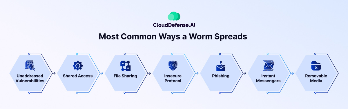 What Is a Computer Worm Virus?
