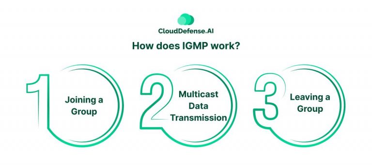 What is IGMP? | Internet Group Management Protocol | CloudDefense.AI